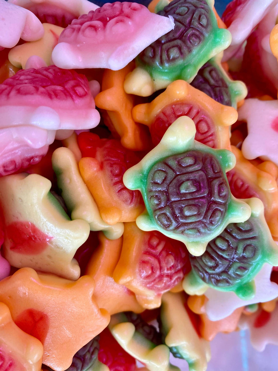 Cute Gummy Candy Turtles 4oz | Sweet & Delicious – Nantasket Sweets By ...
